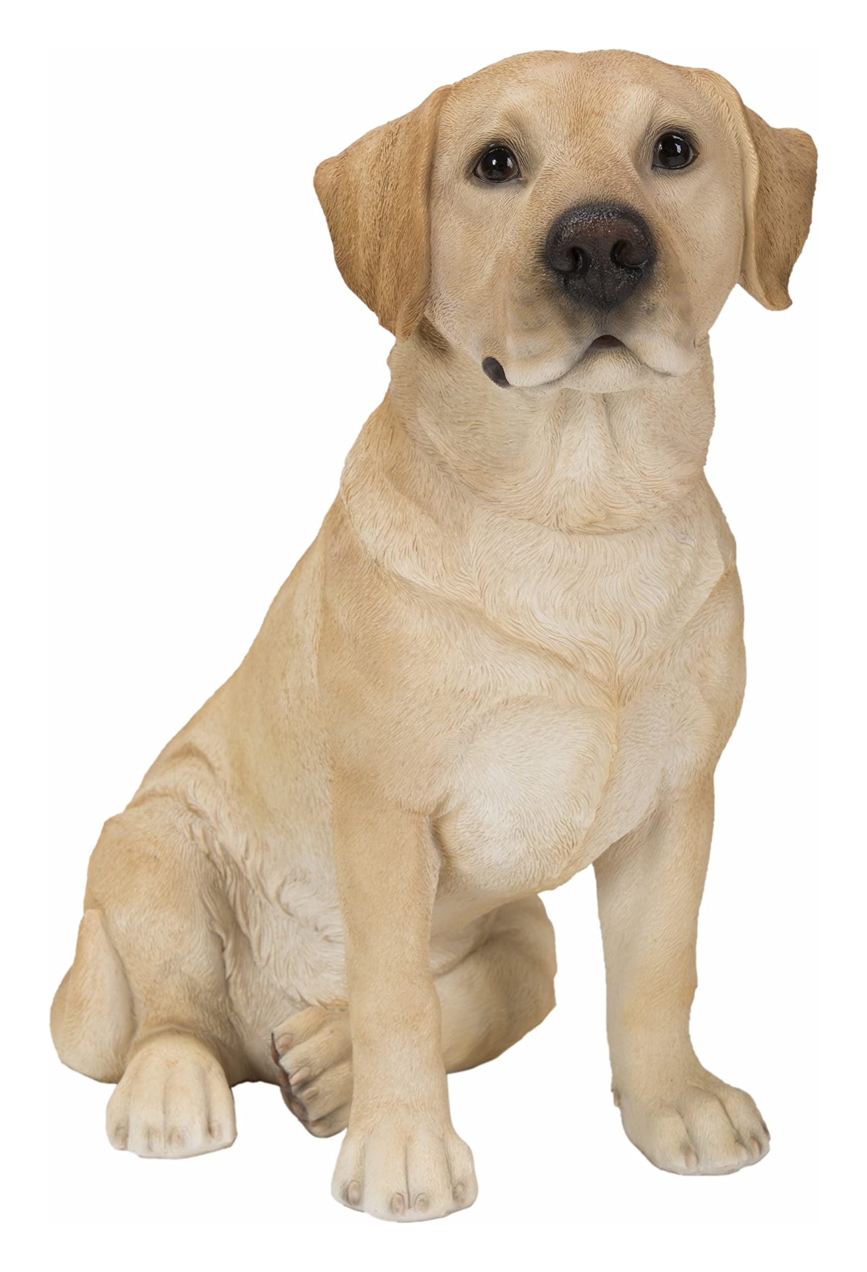 Hi Line 12” Animal Sitting Labrador Garden Statue, Durable Polyresin ...