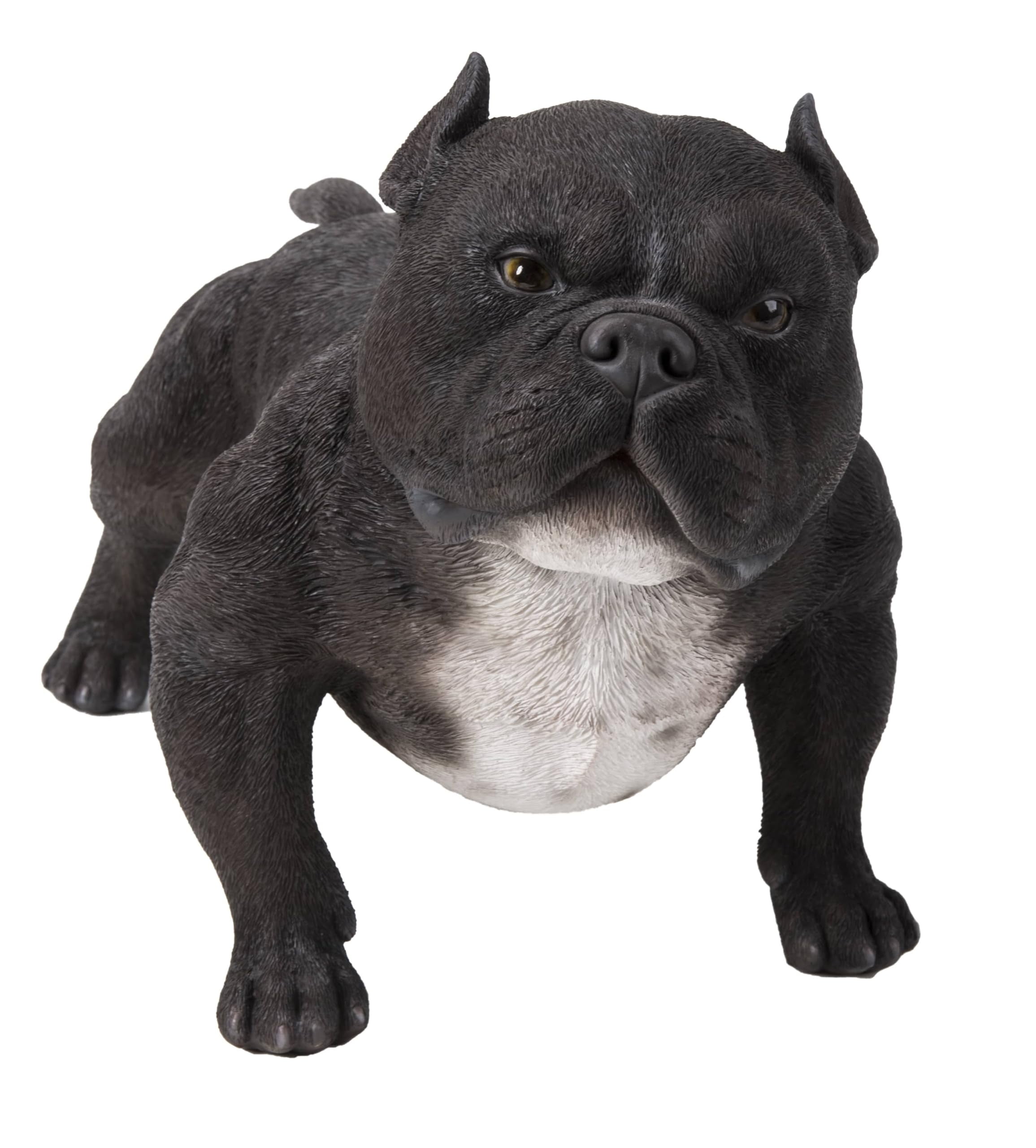 Hi Line 87678-B Walking American Bully High Detail Realistic Statue ...