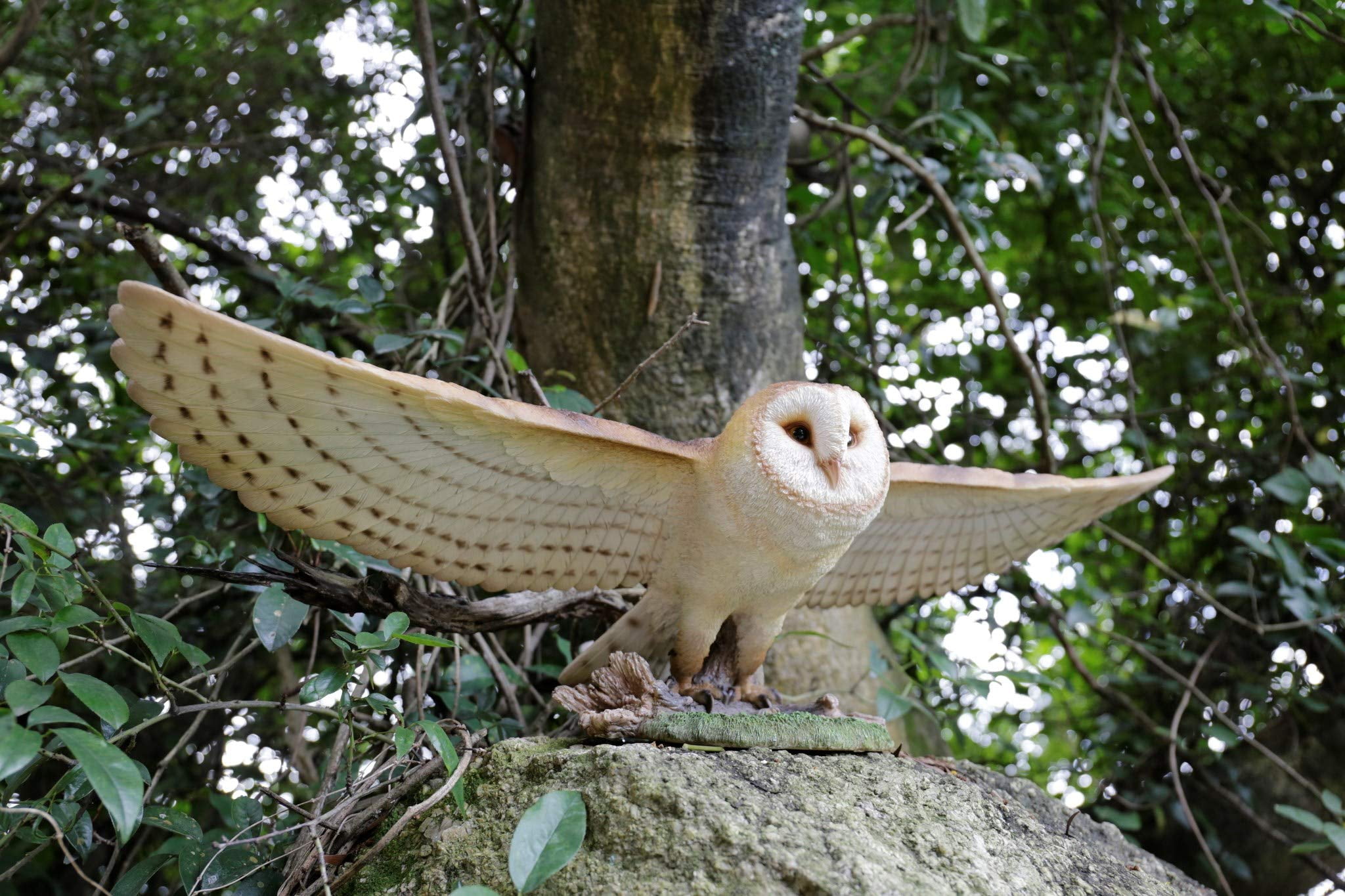 Hi-Line Barn Owl Flying, 30.91-inch Width - Walmart.com
