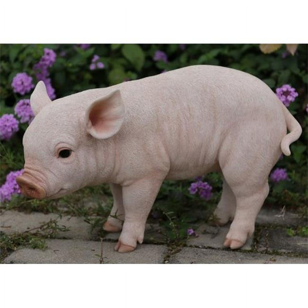 Hi-Line Gift 87726-A Pig - Standing Baby Pig Statue, 14.75 x 5.5 x 9 in ...