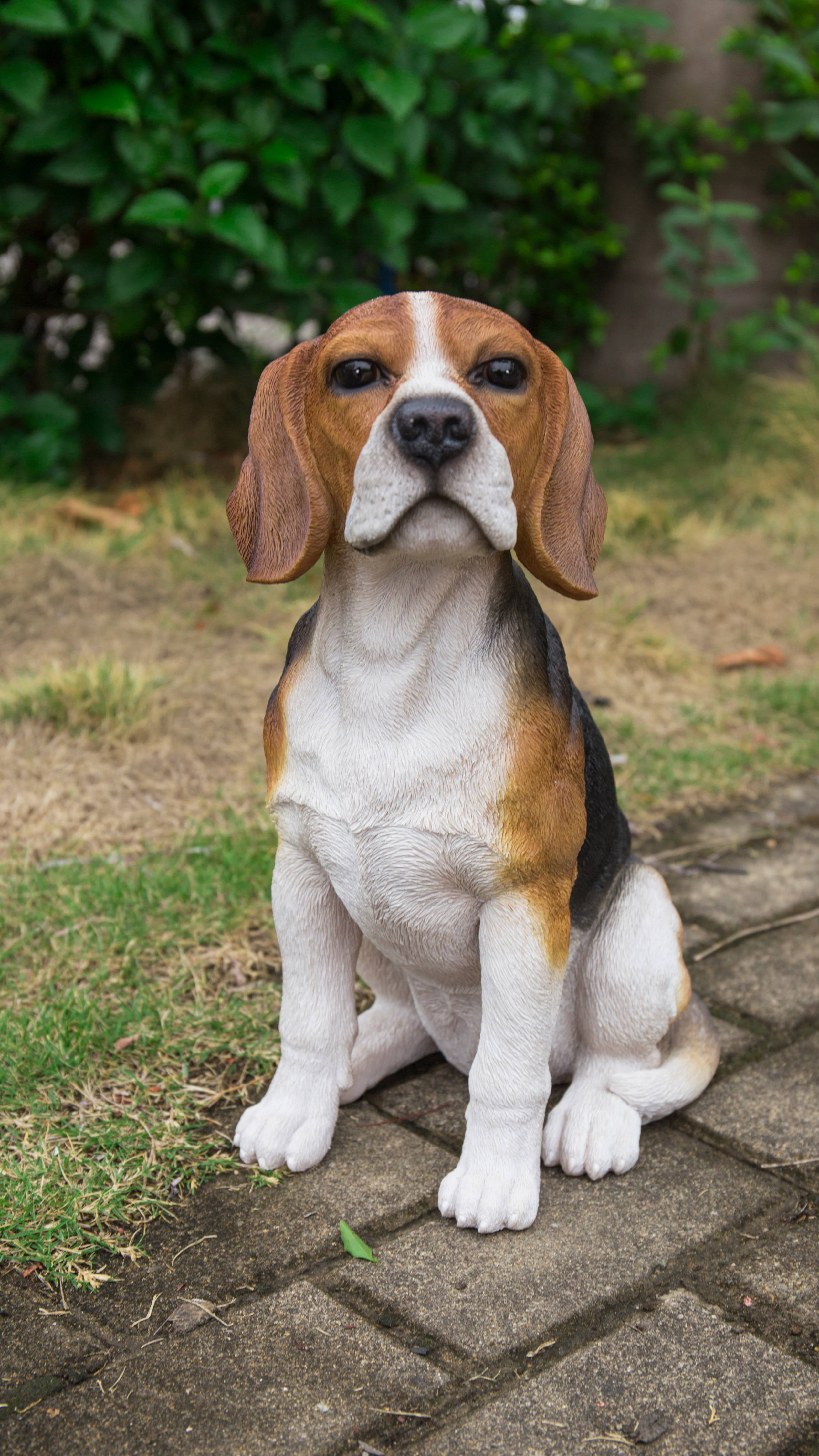 Hi- Line Gift 87763-B Beagle Sitting Dog Statue - Walmart.com