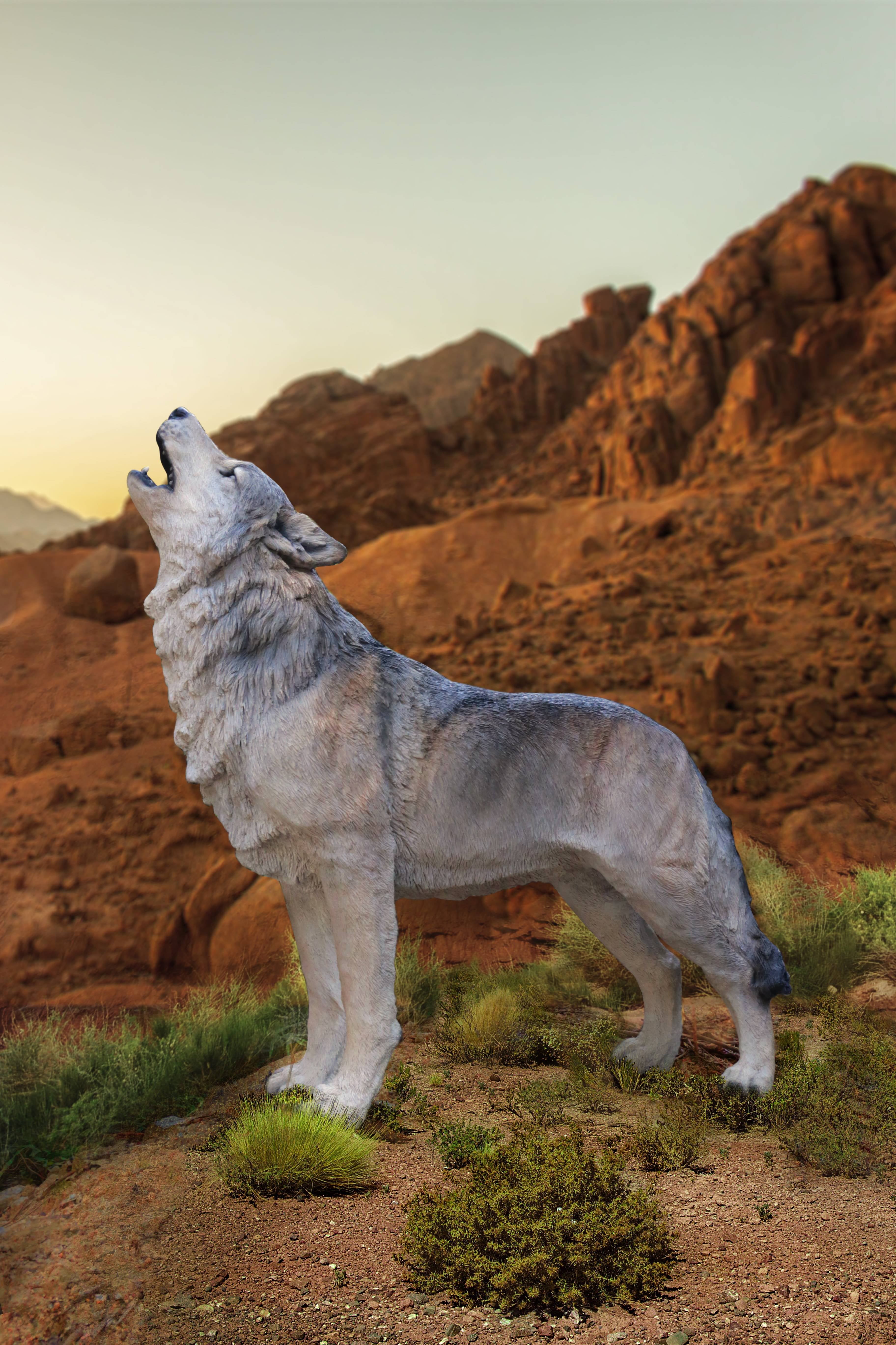 Hi-Line Gift Howling Grey Wolf 12” Garden Statue, Intricate Details ...