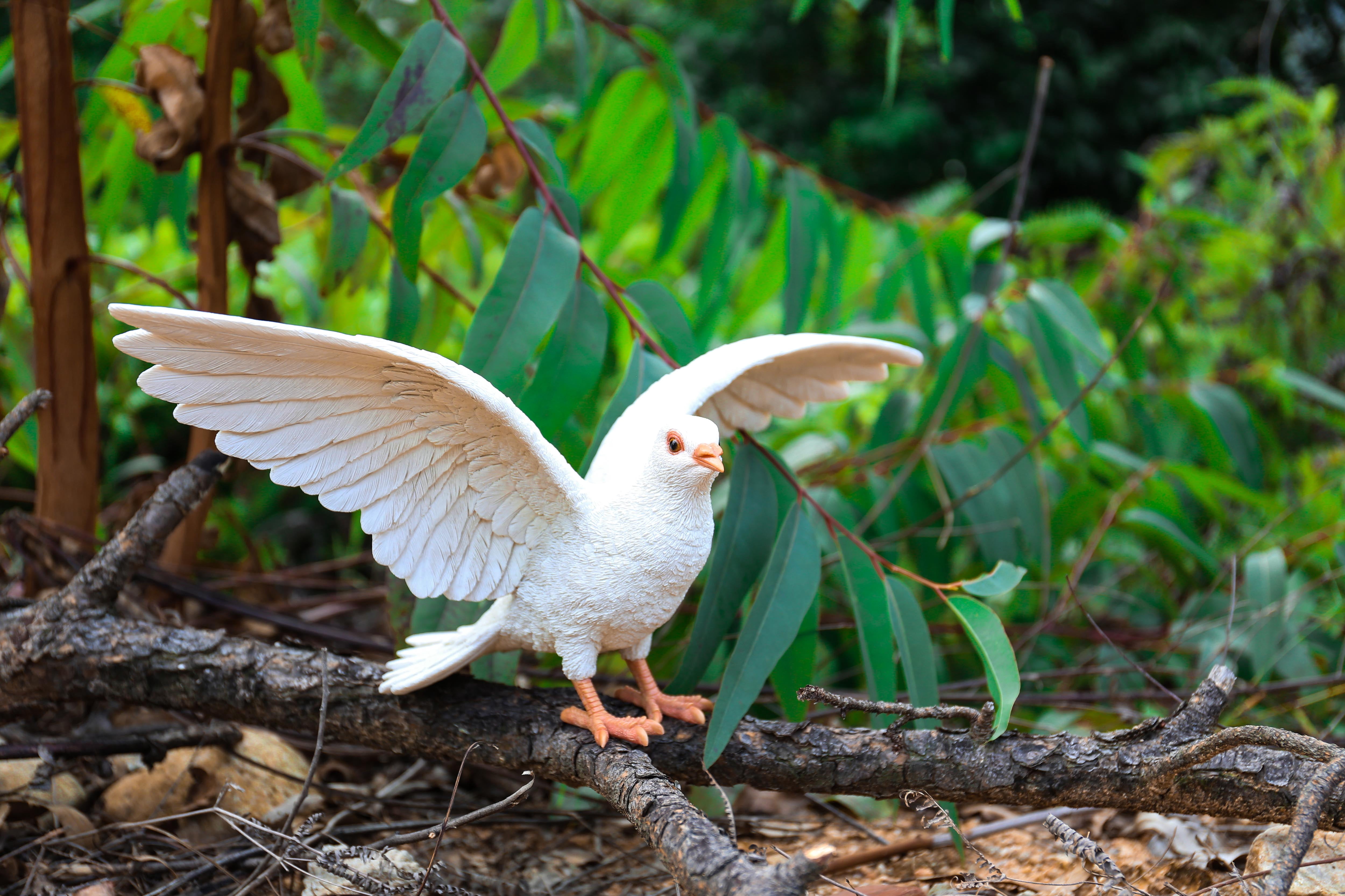 Hi-Line Gift Ltd 87681-A White Pigeon Spreads Wings - Walmart.com