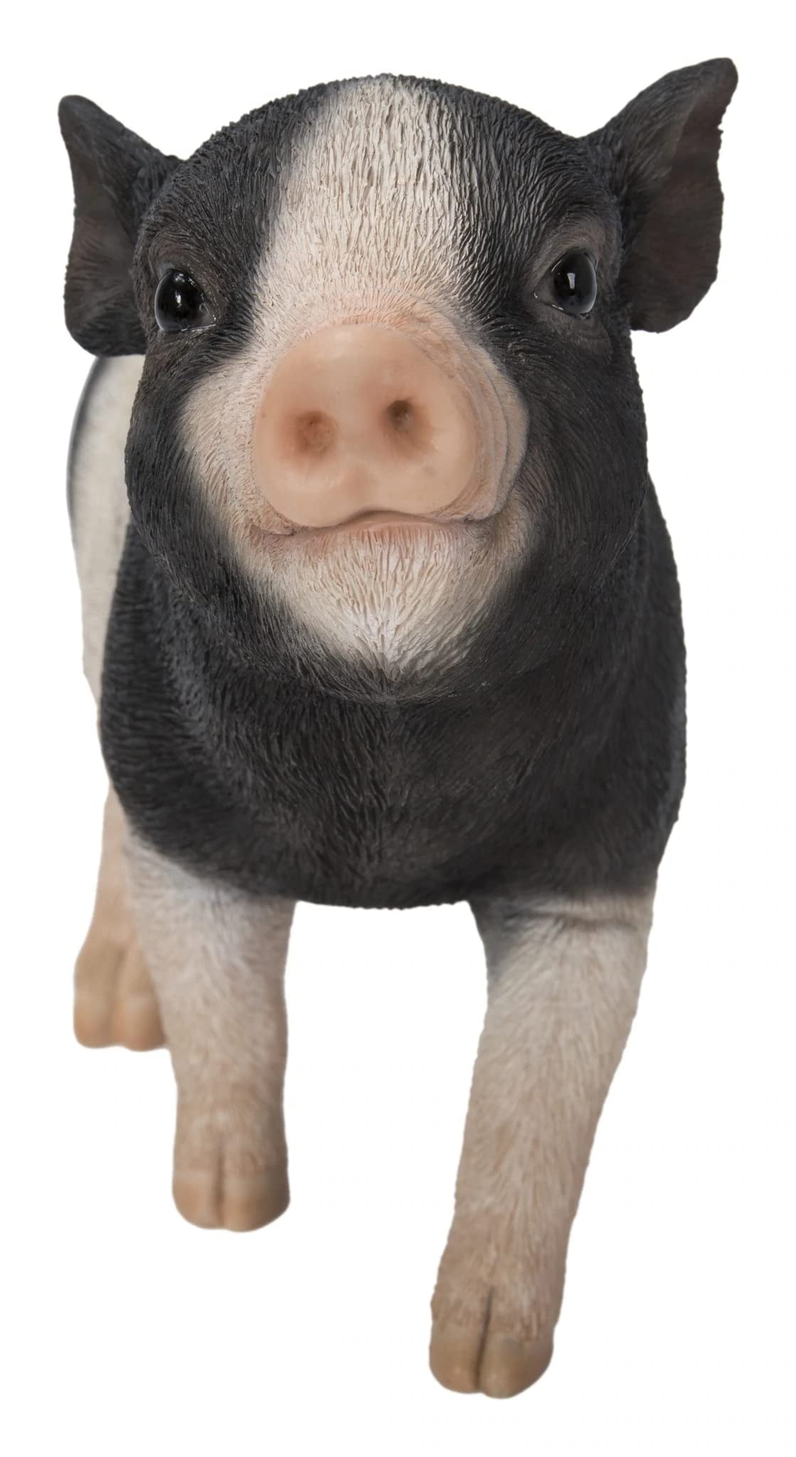Hi-Line Gift Ltd 87726-F Baby Pig Standing, 8.7-inch Length, Black and ...