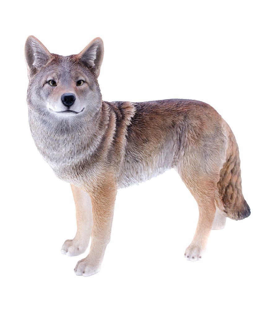 Hi-Line Gift Ltd Coyote Garden Statue - Walmart.com