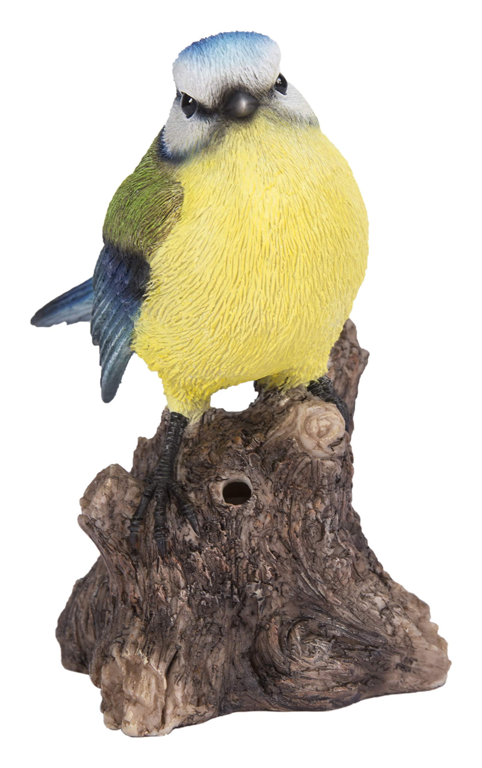 Hi-Line Gift Ltd. Motion Activated Singing Bird TIT ON Stump, Blue ...