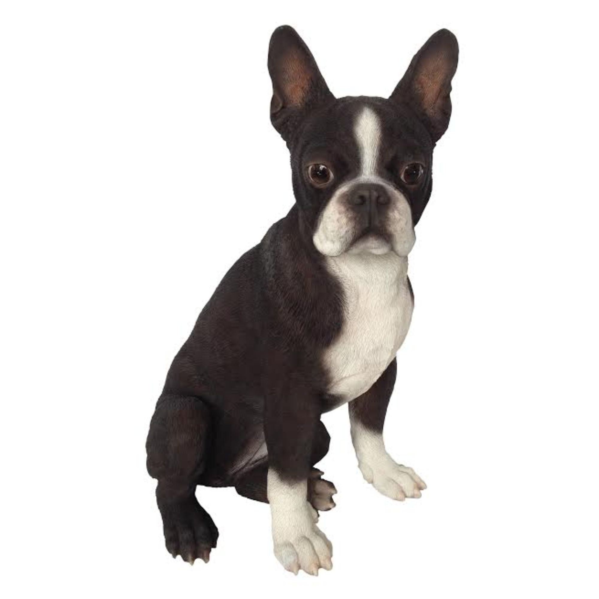 Hi-Line Gifts 16.5" Sitting Boston Terrier Dog Outdoor Garden Statue ...
