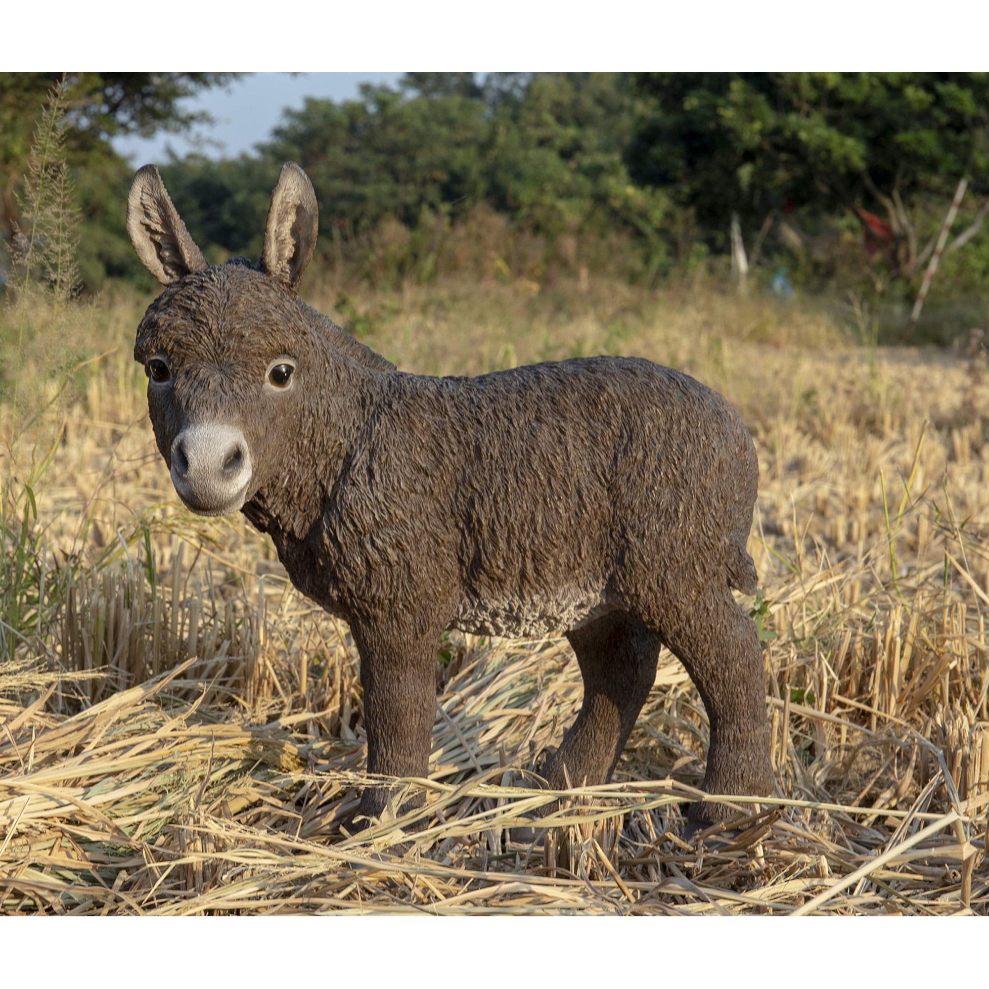 Hi-Line Gift Ltd 87974-B Standing Brown Donkey Looking Left Statue ...