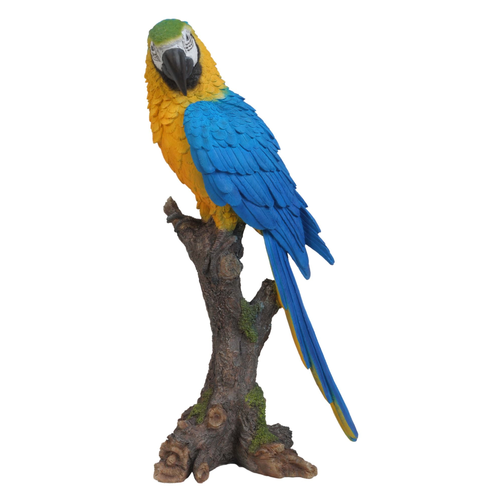 Hi-Line Gifts Parrot on a Branch Outdoor Garden Statue - 15.25 ...