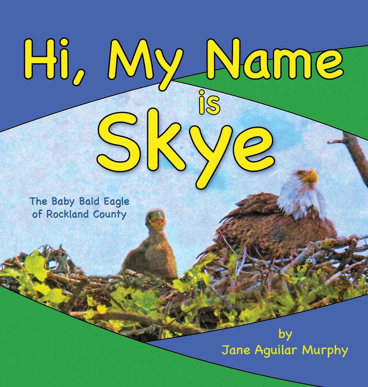 Hi, My Name is Skye: The Baby Bald Eagle of Rockland County (Hardcover ...