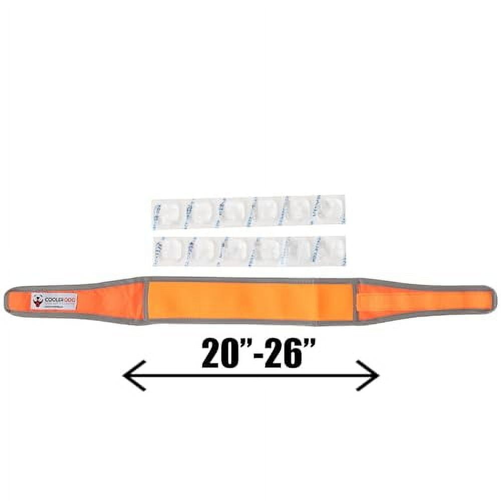 Hi-Vis Dog Cooling Collar - Orange Reflective Re-Freezable Ice Collar ...