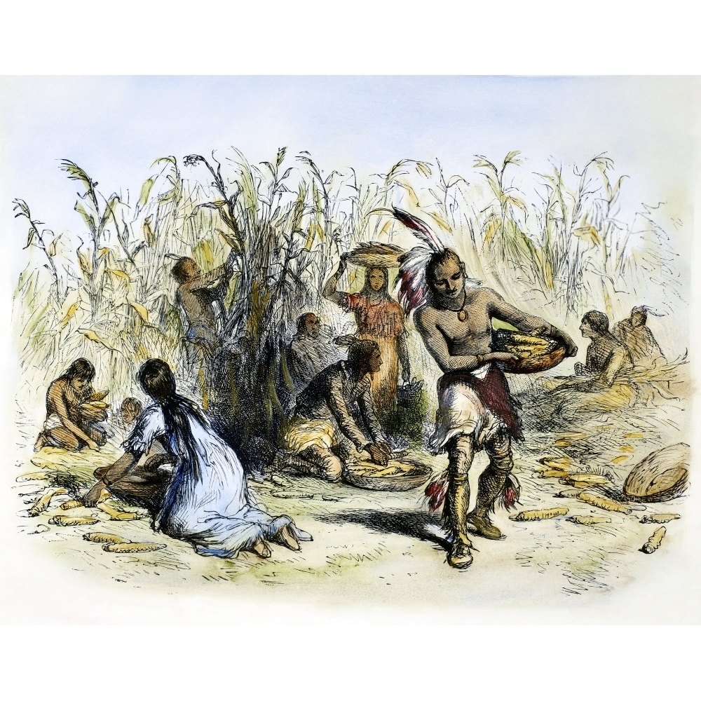 Hiawatha Corn Harvesting. Nnative American Corn Harvest. Wood Engraving ...