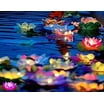 Blue Wave Sun Fish Solar Floating Pool Light - Walmart.com