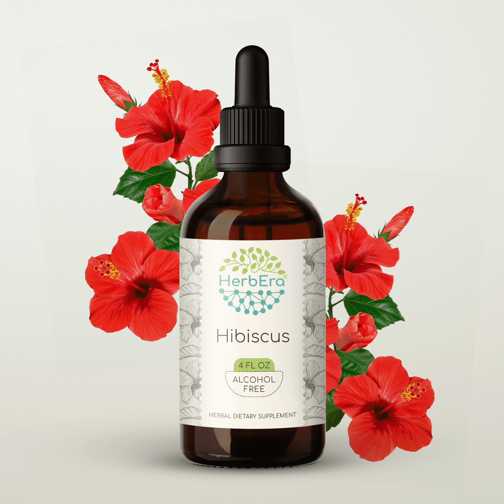 Hibiscus Alcohol-FREE Herbal Extract Tincture, Super-Concentrated ...