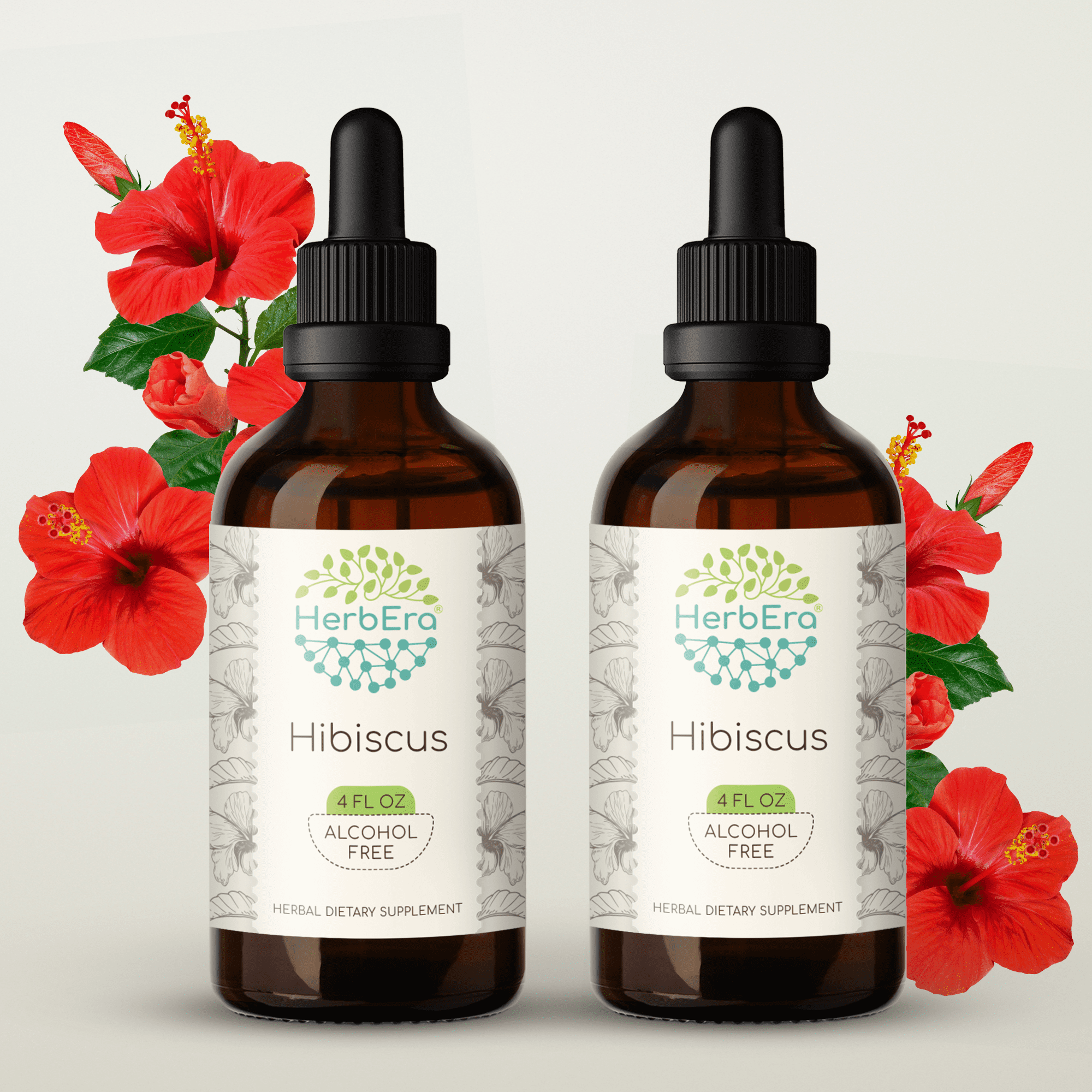 Hibiscus Alcohol-FREE Herbal Extract Tincture, Super-Concentrated ...