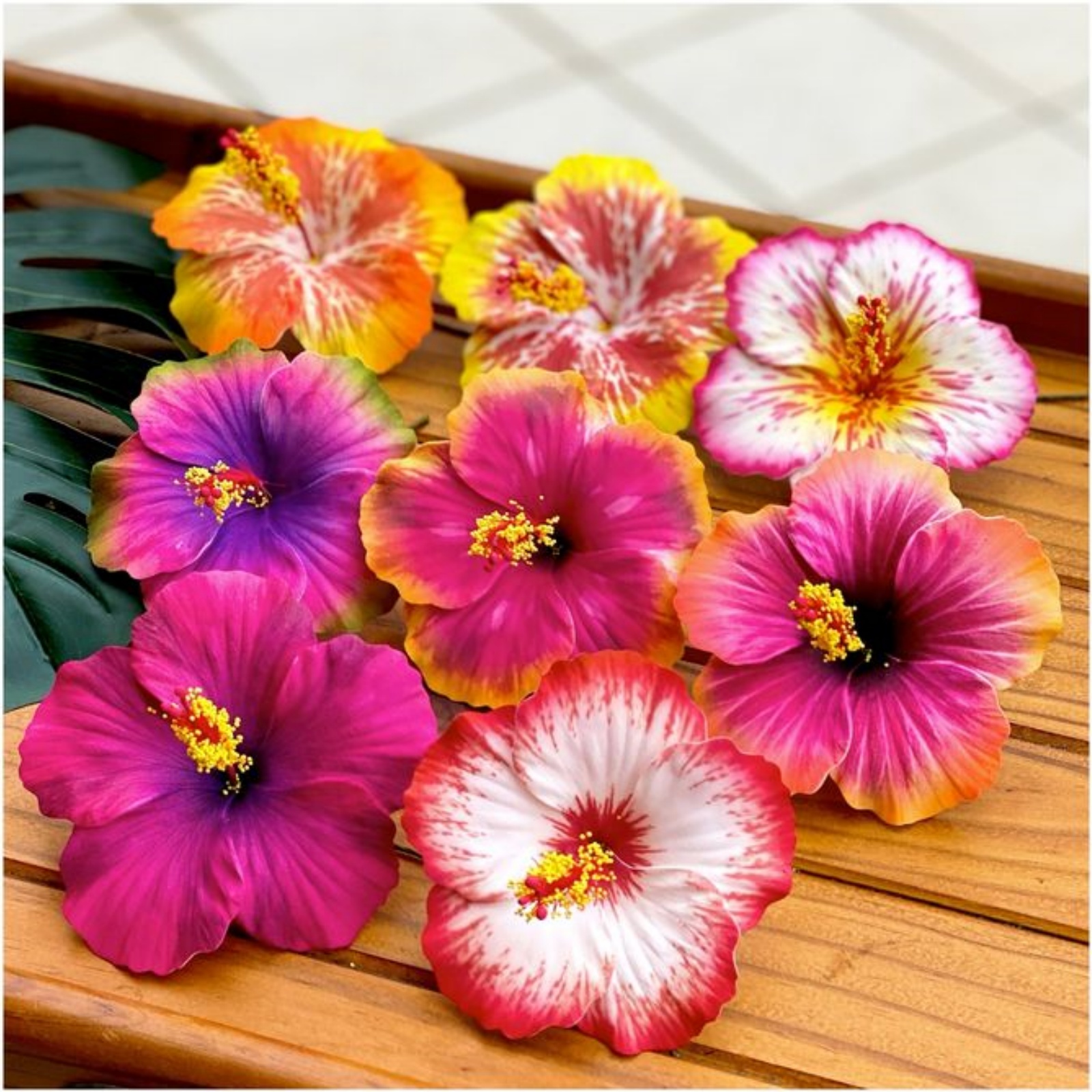 Hibiscus - Perfect for Borders - Stylish Potted Masterpieces, Striking ...