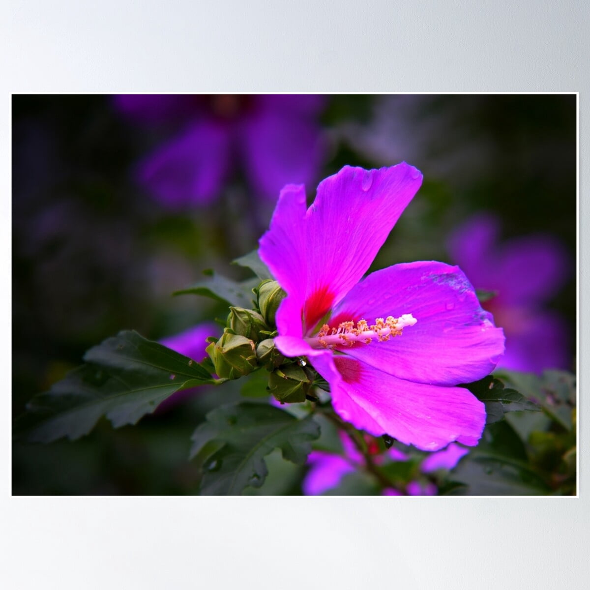 Hibiscus Poster Wall Art, Modern Wall Decor For Living Room Bedroom ...