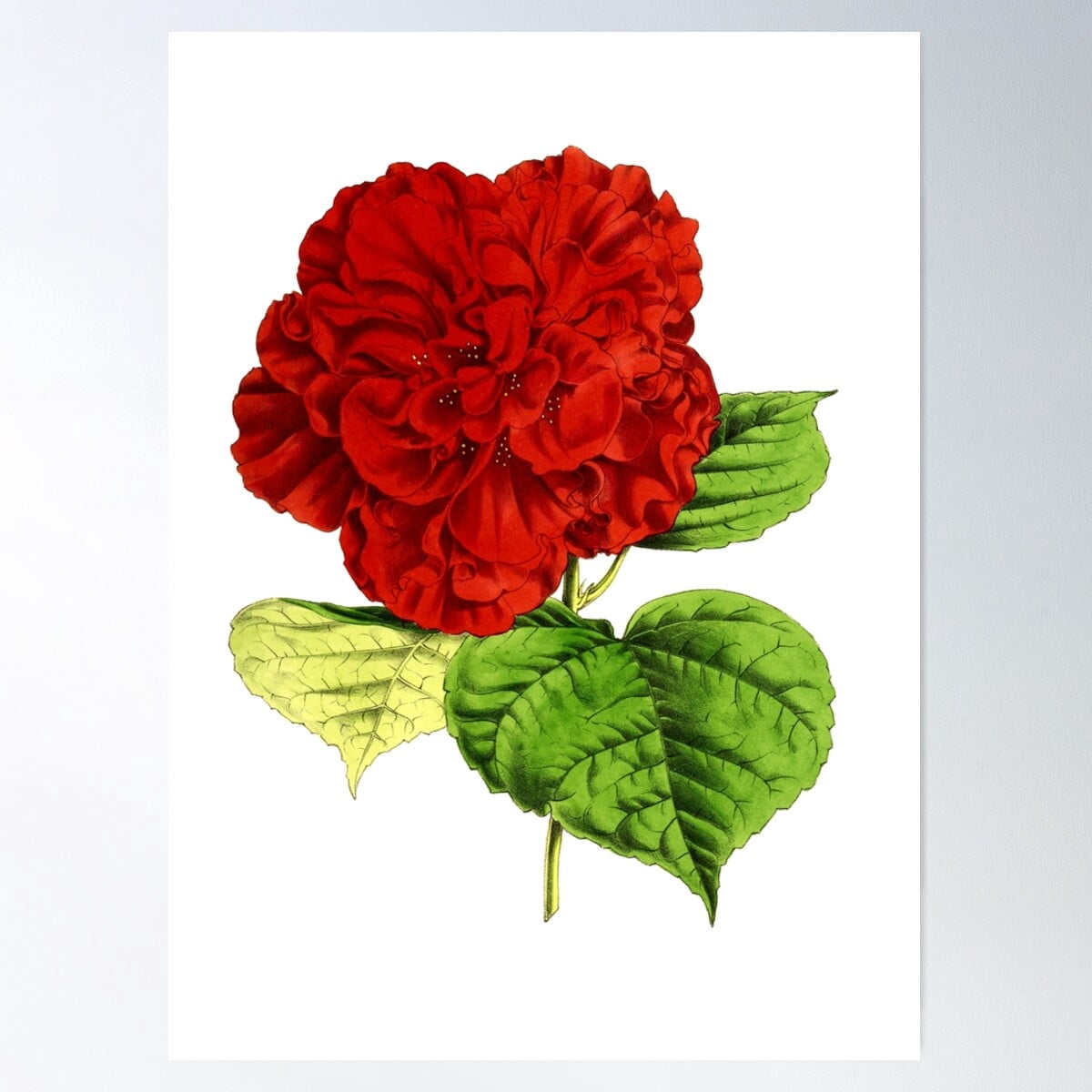 Hibiscus Poster Wall Art, Modern Wall Decor For Living Room Bedroom ...