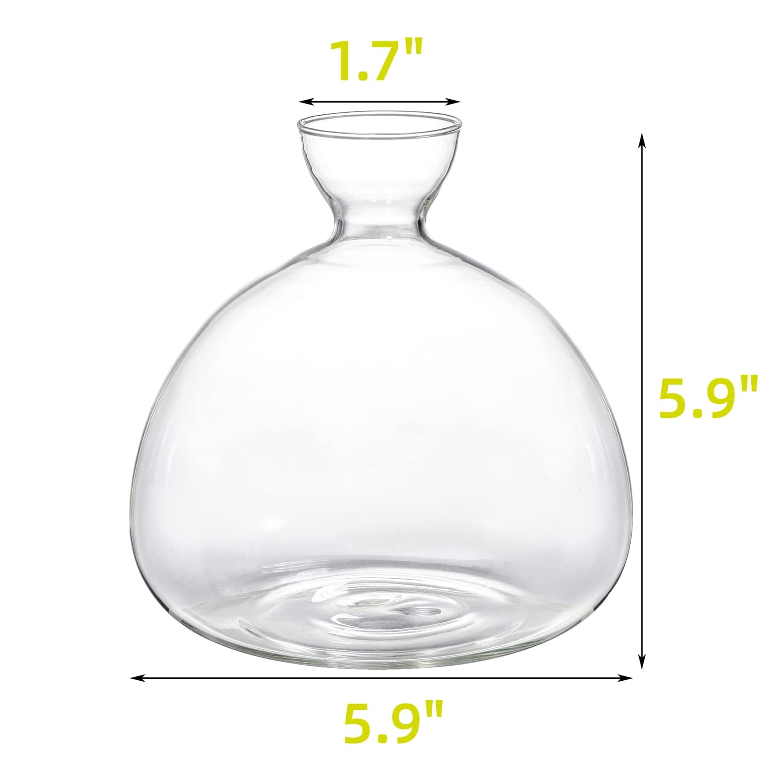 Hiceeden Avocado Seed Starter Vase Planter, Clear H2FSDAvocado Tree Growing Kit Pot, Medium ...