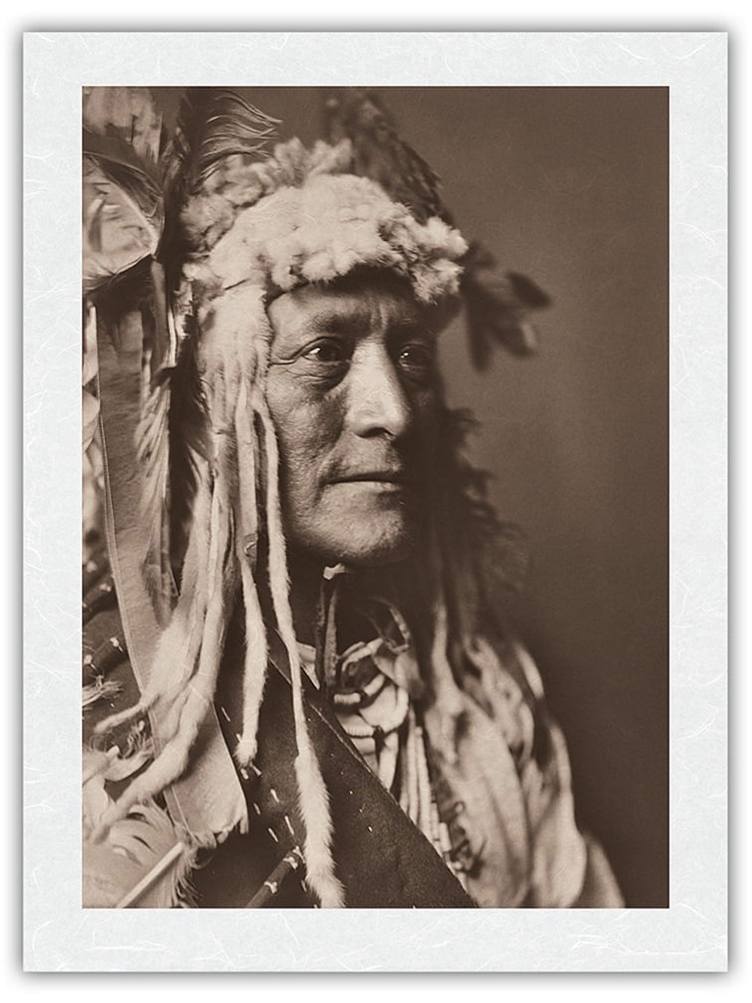 Hidatsa Man Wearing White Duck Headdress - North American Indian ...