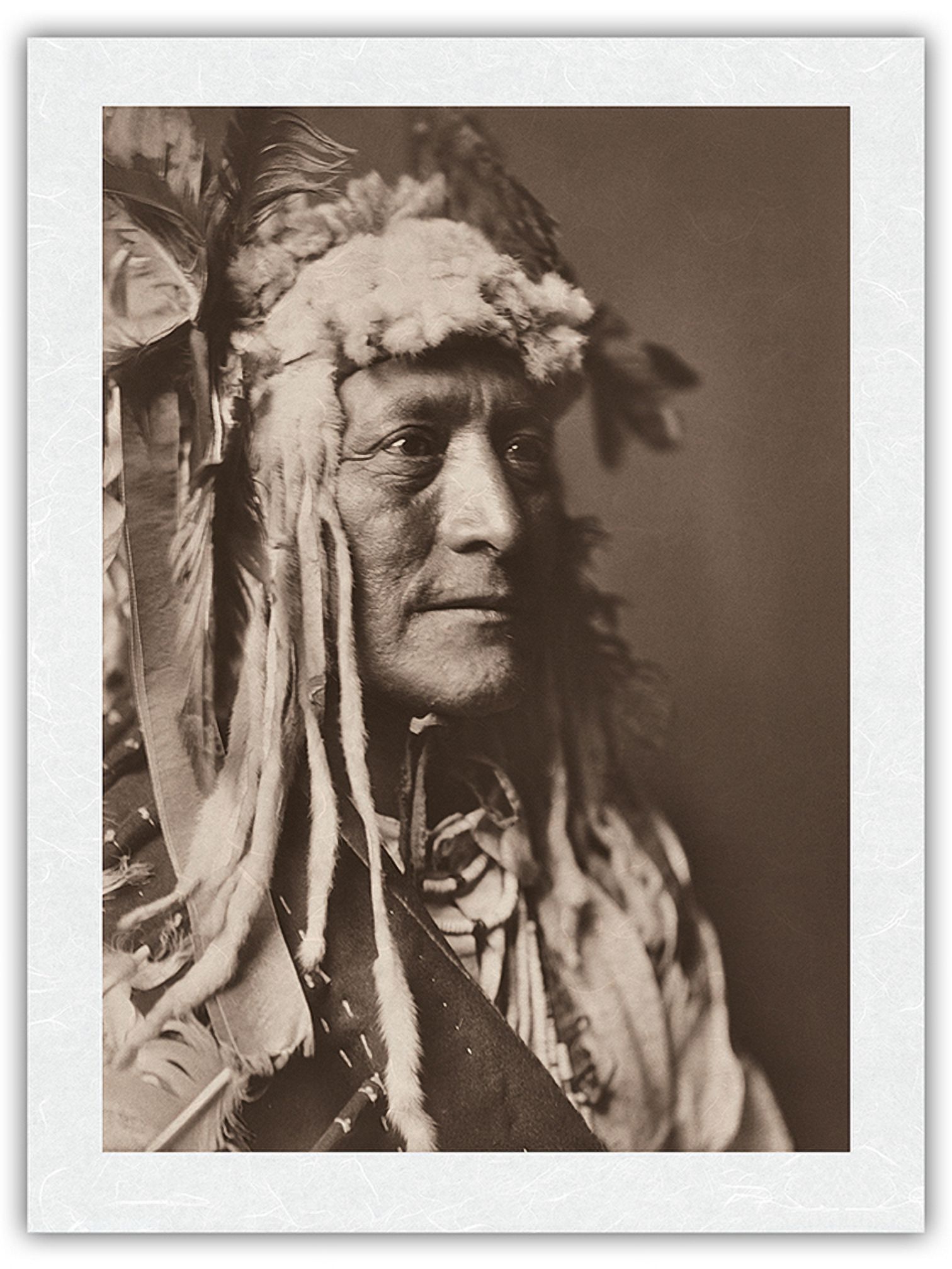 Hidatsa Man Wearing White Duck Headdress - North American Indian ...