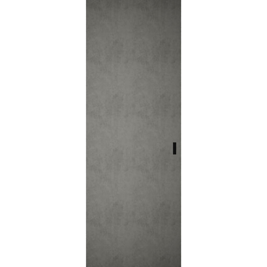 Hidden Barn | Planum 0010 Concrete | Sturdy Finished Doors | Magic ...