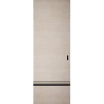 Hidden Barn | Planum 0012 Concrete | Sturdy Finished Flush Modern Doors ...