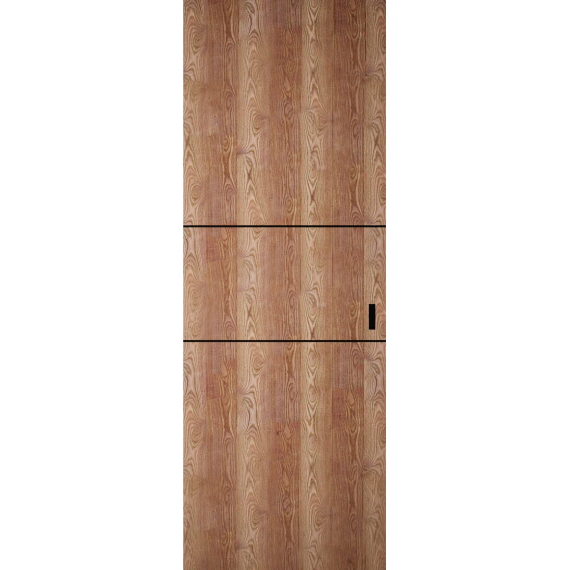 Hidden Barn | Planum 0014 Walnut | Sturdy Finished Flush Modern Doors ...