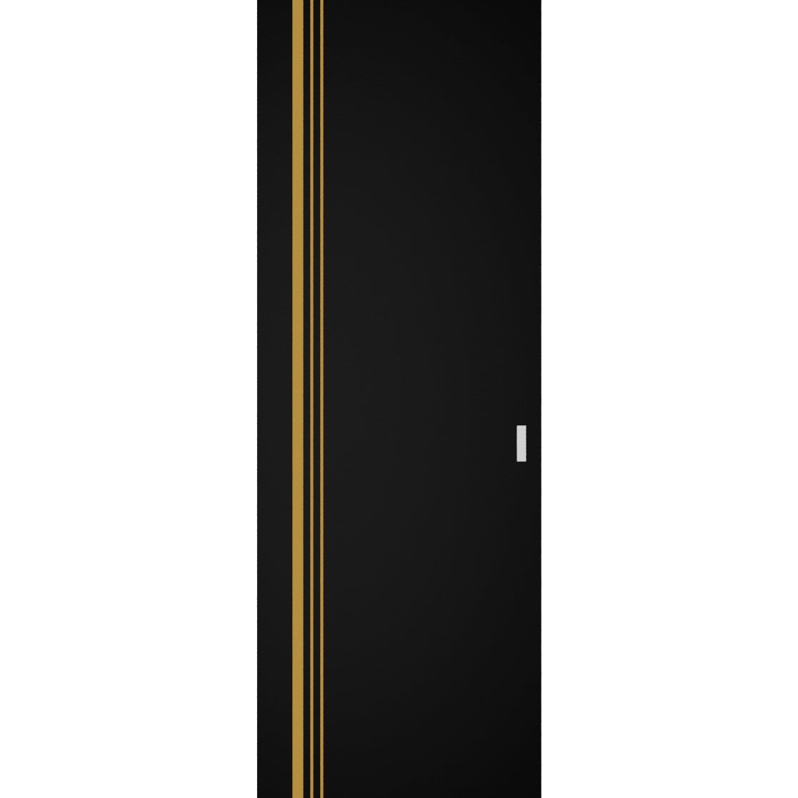 Hidden Barn | Planum 1010 Black Matte | Sturdy Finished Modern Doors ...