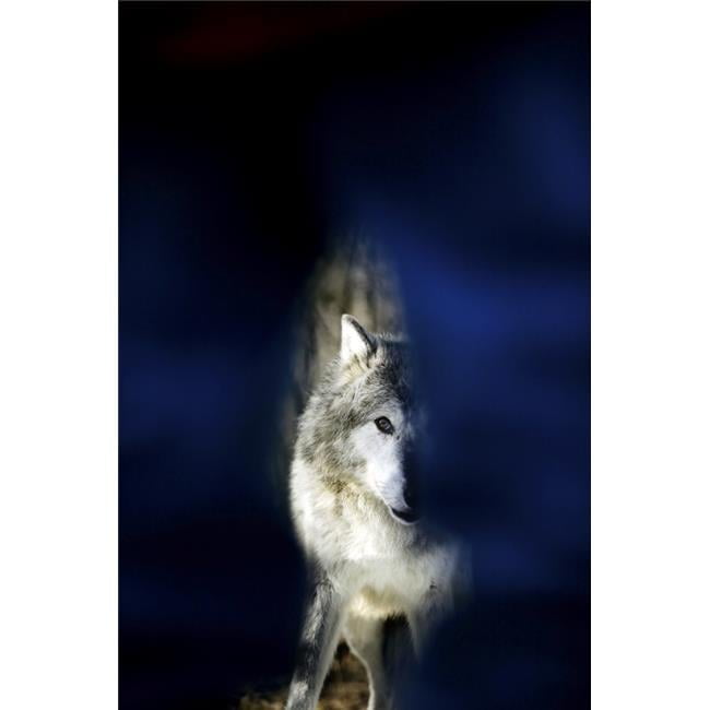 Hidden Image Posters