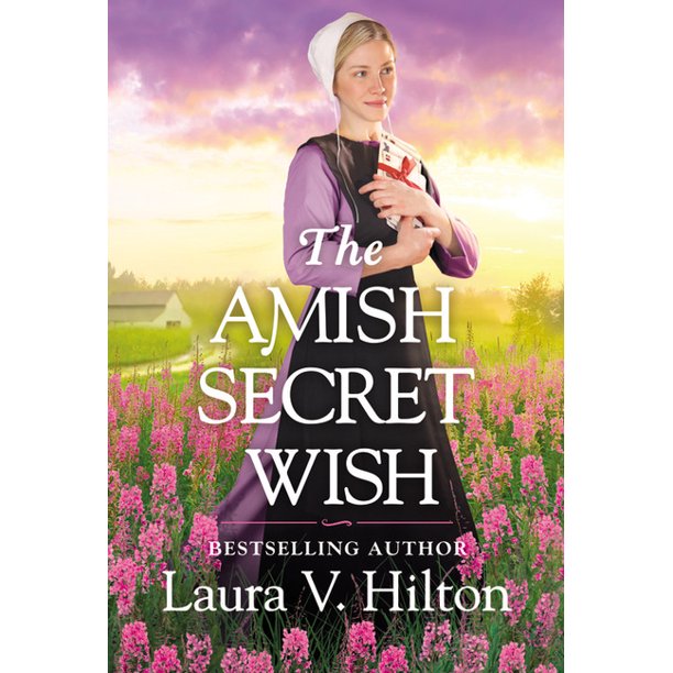 Hidden Springs: The Amish Secret Wish (Paperback) - Walmart Business ...