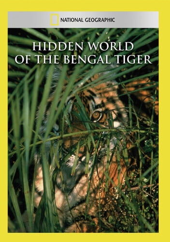 Hidden World of the Bengal Tiger (DVD), National Geographic ...