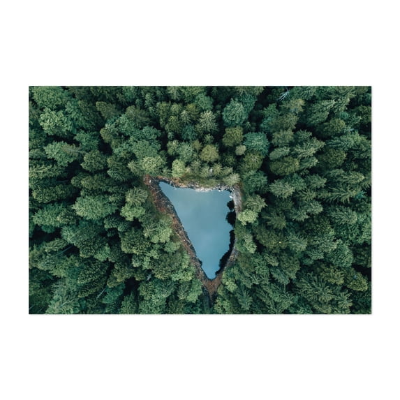 Hidden blue Forest Lake - Photography Forest Nature Woodland Scenic ...