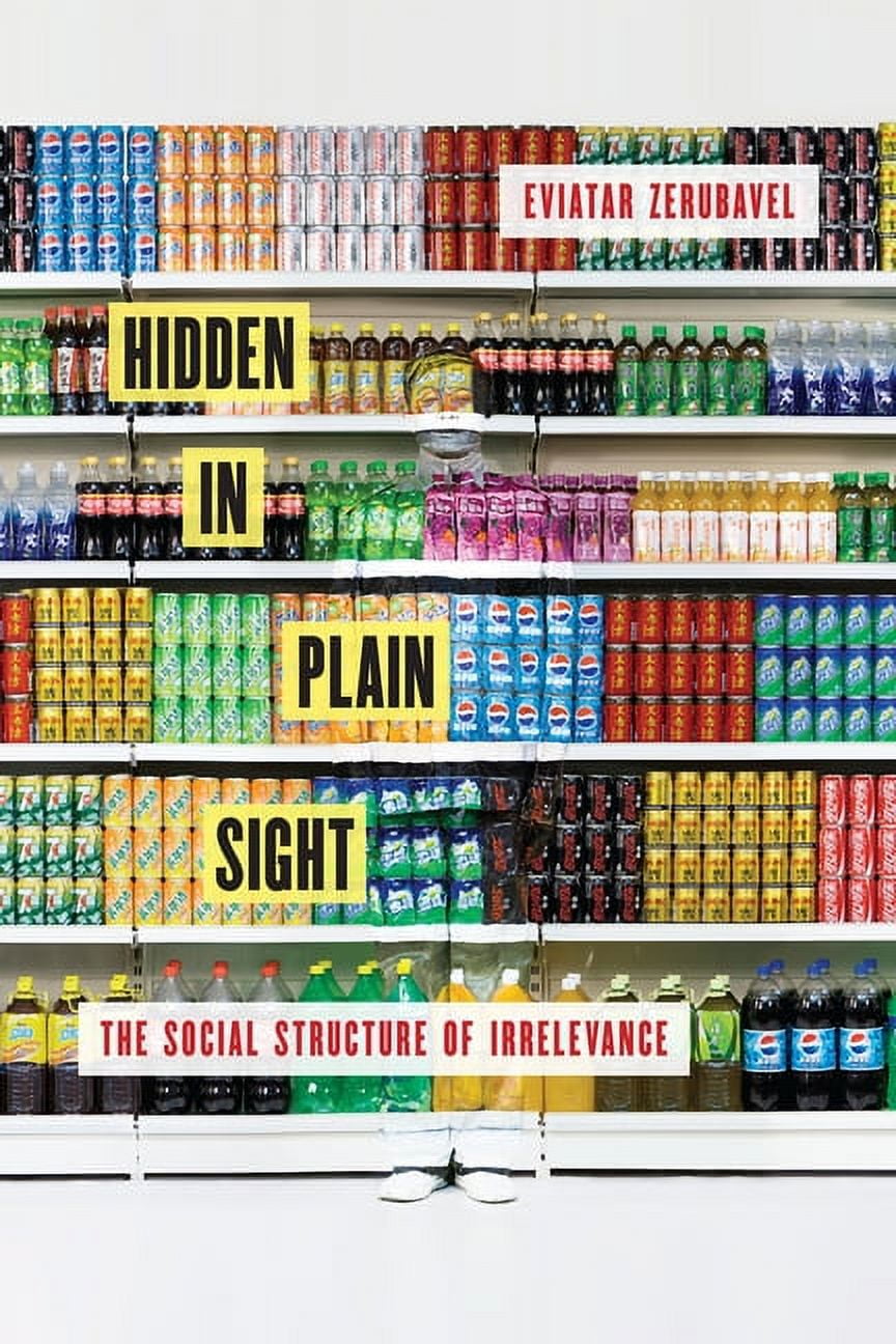 Hidden in Plain Sight : The Social Structure of Irrelevance - Walmart.com