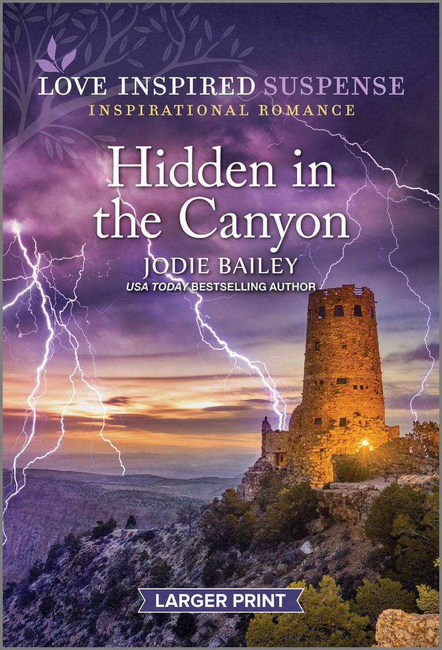 Hidden in the Canyon (Paperback)(Large Print) - Walmart.com