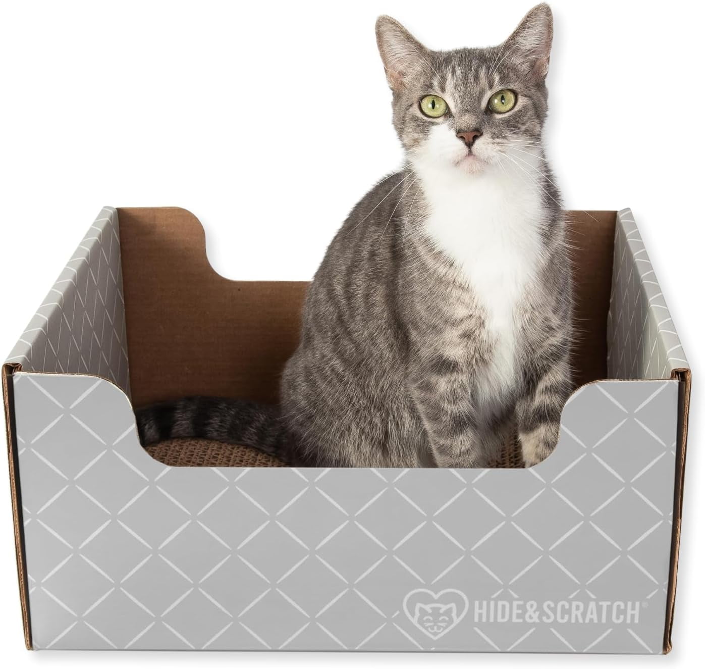 Hide and grab heavy-duty cardboard cat scratch boxes and cat beds with ...