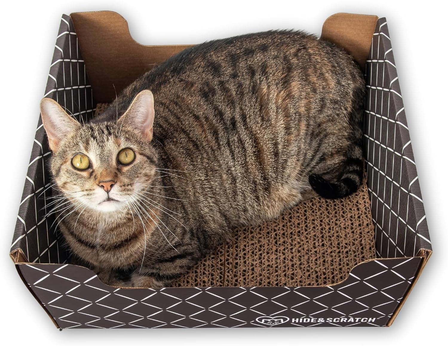Hide and grab heavy-duty cardboard cat scratch boxes and cat beds with ...