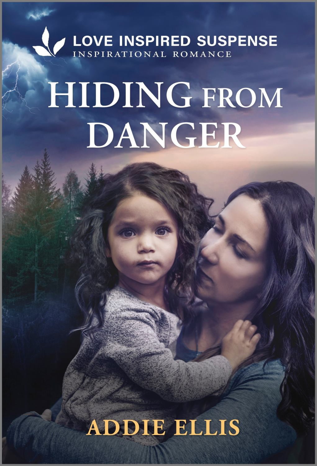 Hiding from Danger (Paperback) - Walmart.com
