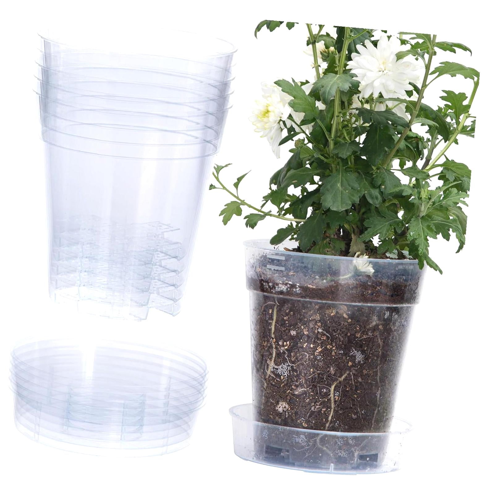 Hidove 1-Gallon 6-Inch Transparent Plastic Plant Container Featuring ...