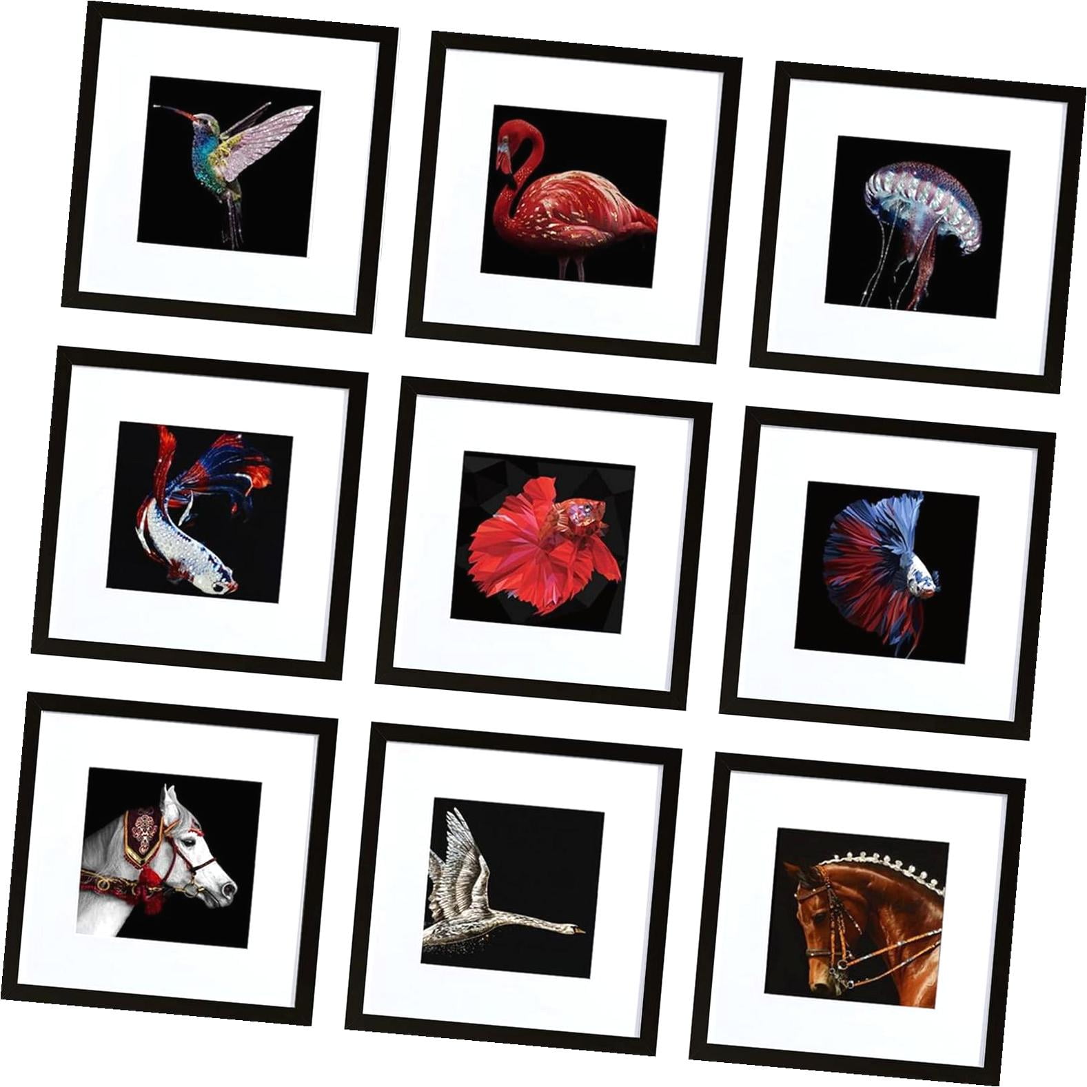 Hidove 10x10 Photo Frame Collection of 9, Display 6x6 Images with Mat ...