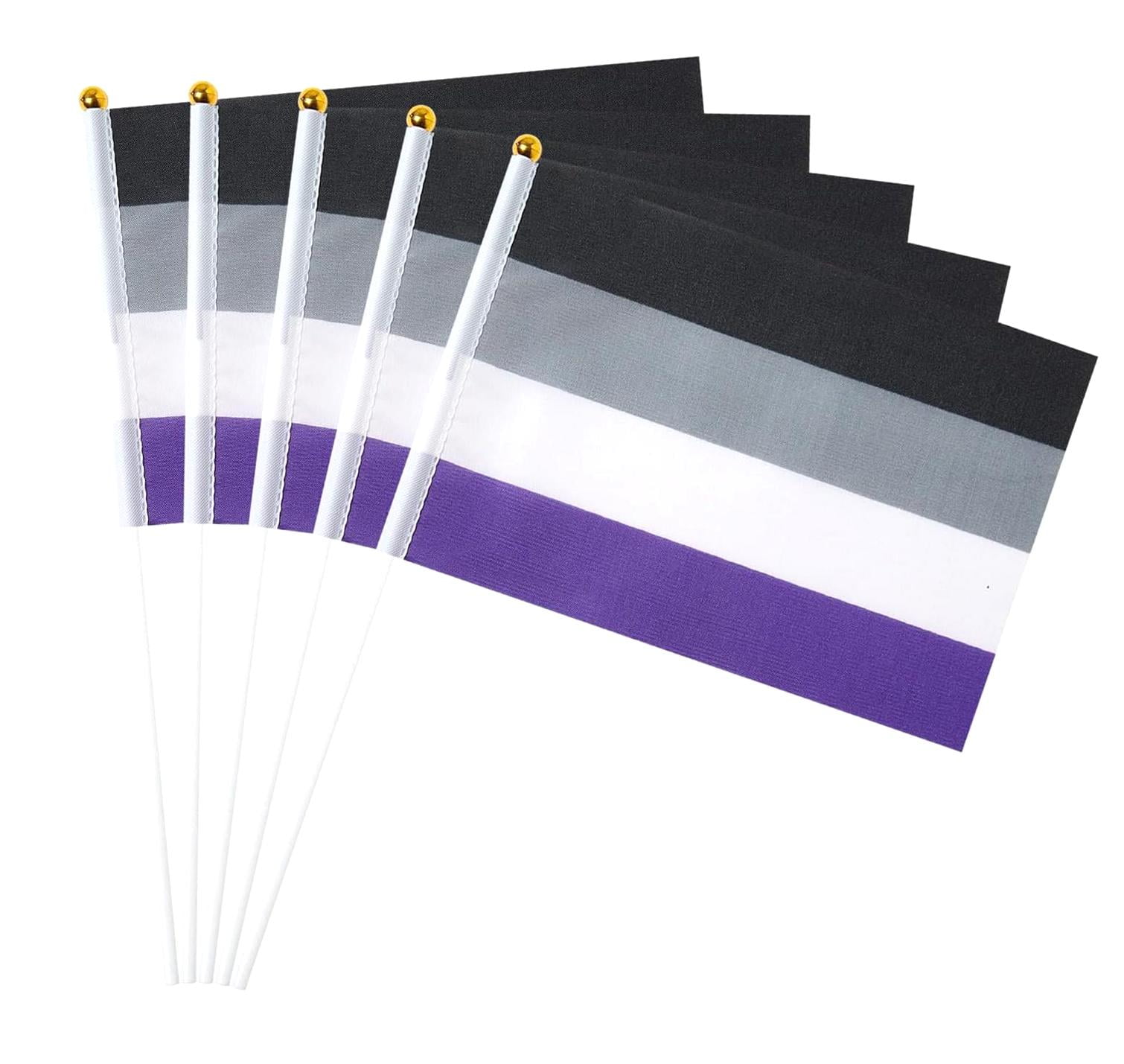 Hidove 12 Pack Transgender Pride Rainbow Flags Mini Hand Held Stick ...