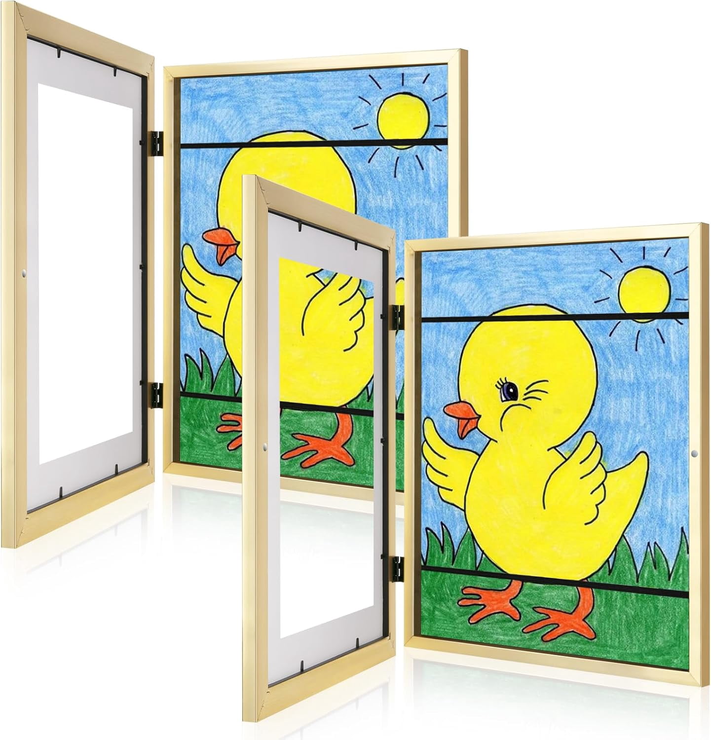Hidove [2 Pack], 10x12.5 Opening Artwork Changeable, Displays 8.5x11 ...