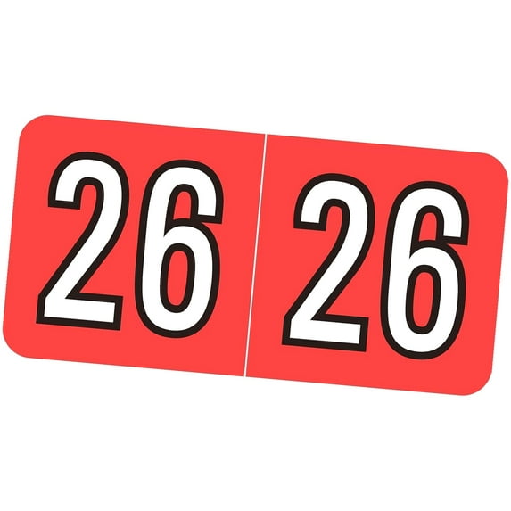 Hidove 2026 Year Stickers, Pcs File Folder Labels 3/4" 1-1/2" Chart ...