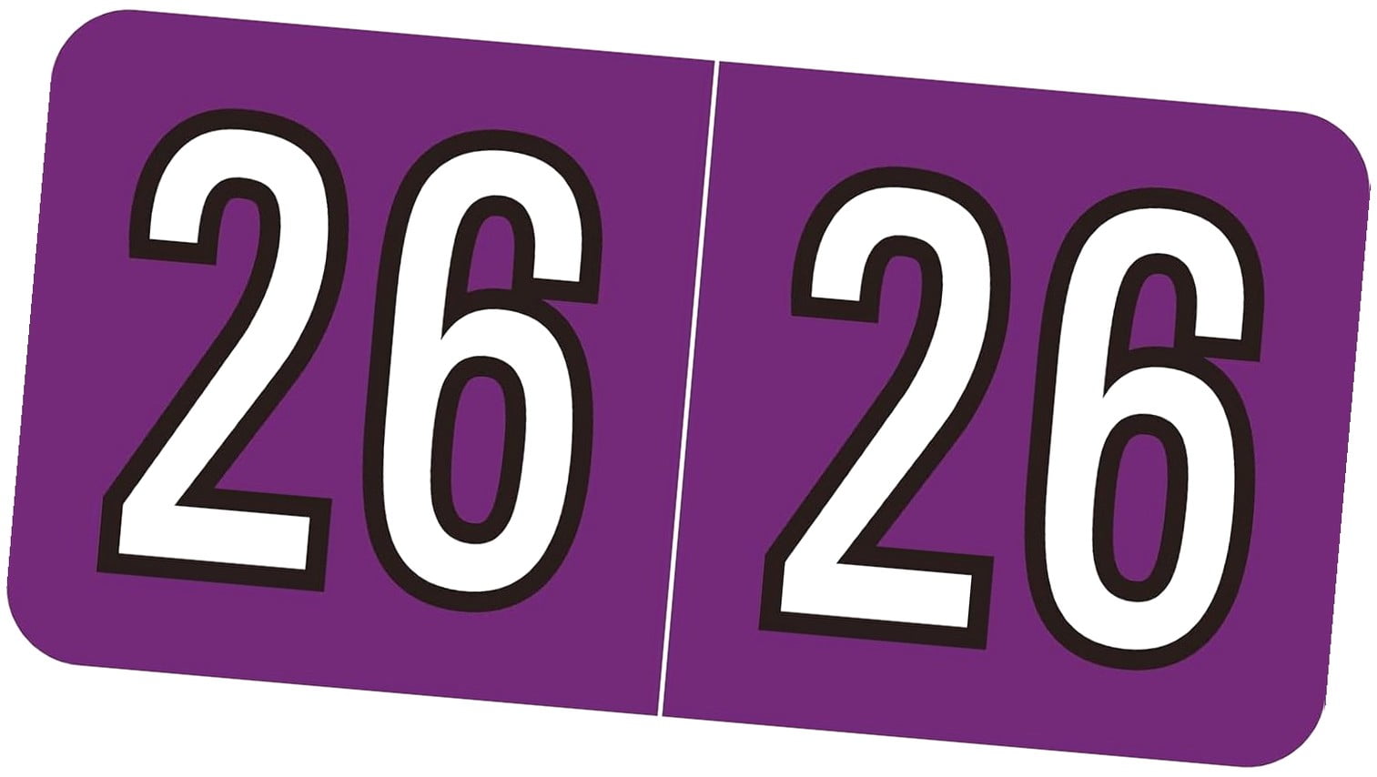 Hidove 2026 Year Stickers, Pcs File Folder Labels 3/4" 1-1/2" Chart ...