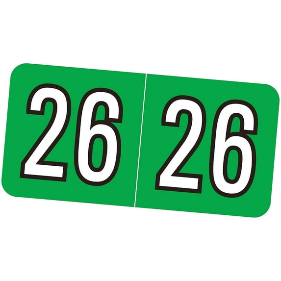 Hidove 2026 Year Stickers, Pcs File Folder Labels 3/4" 1-1/2" Chart ...