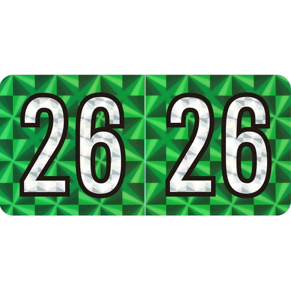 Hidove 2026 Year Stickers, Pieces File Folder Labels 3/4" 1-1/2" Chart ...