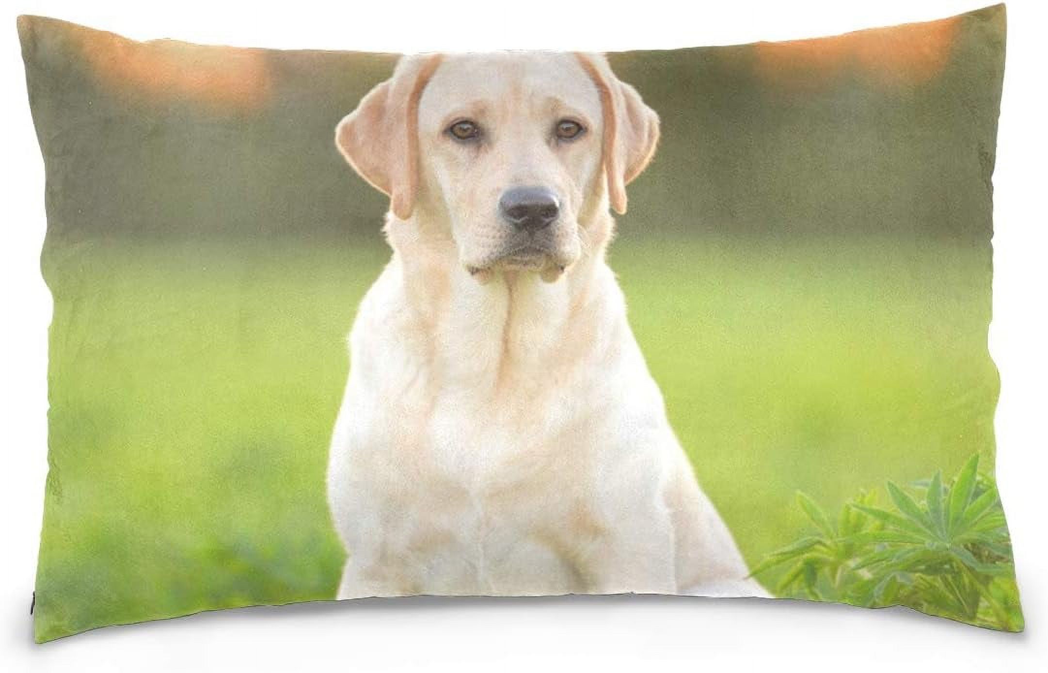 Hidove Beautiful Labrador Puppy Velvet Oblong Lumbar Plush Throw Pillow ...