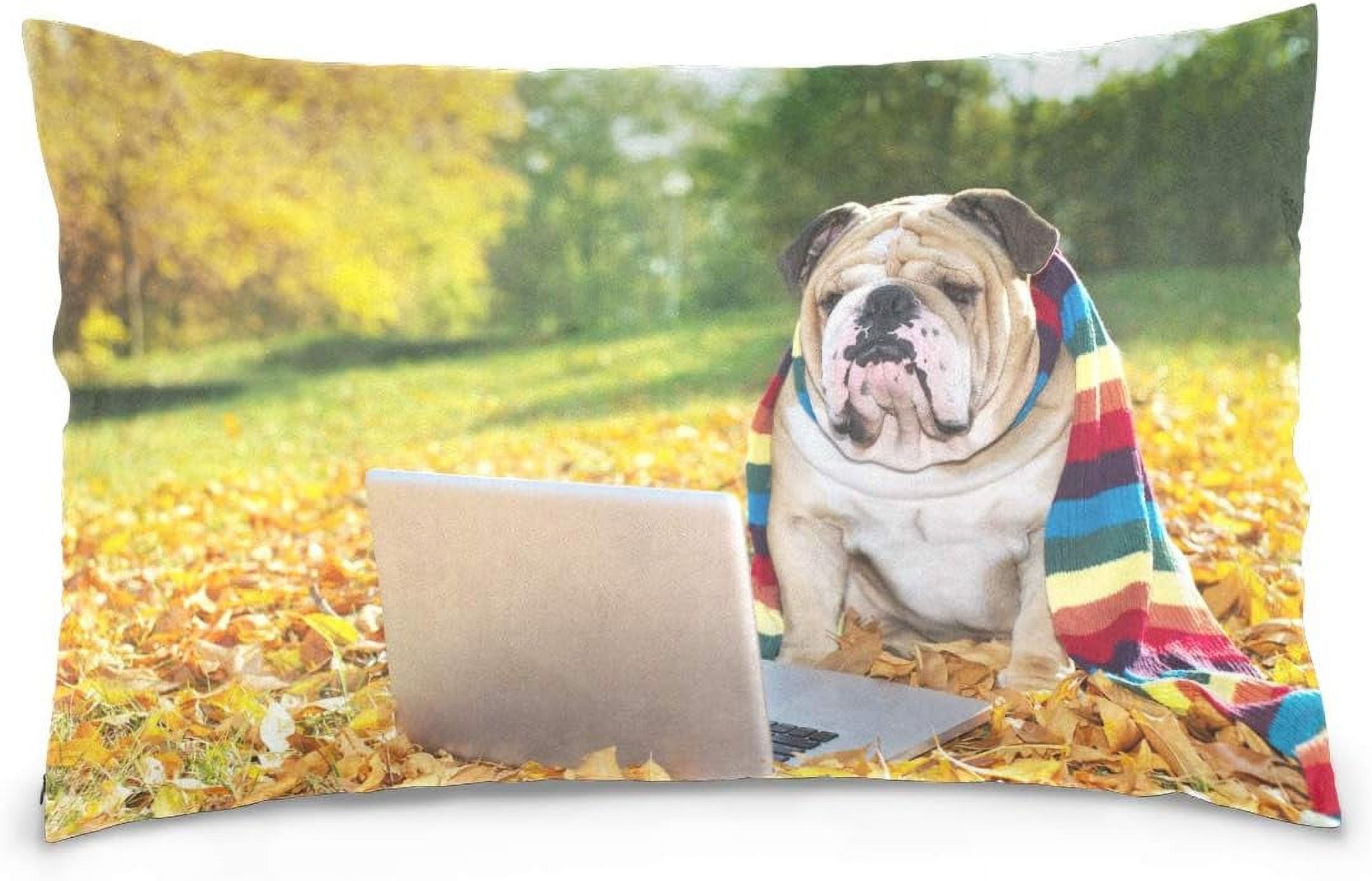 Hidove Bulldog with Computer Velvet Oblong Lumbar Plush Throw Pillow ...