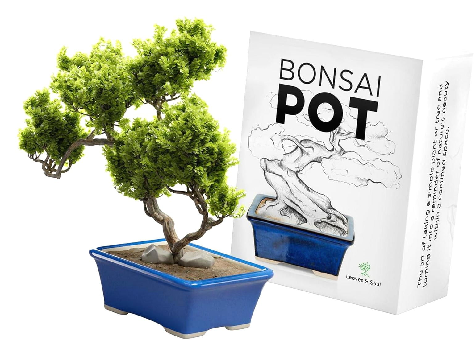Hidove Glazed Ceramic Bonsai Pot - Planter for Succulents and Small ...