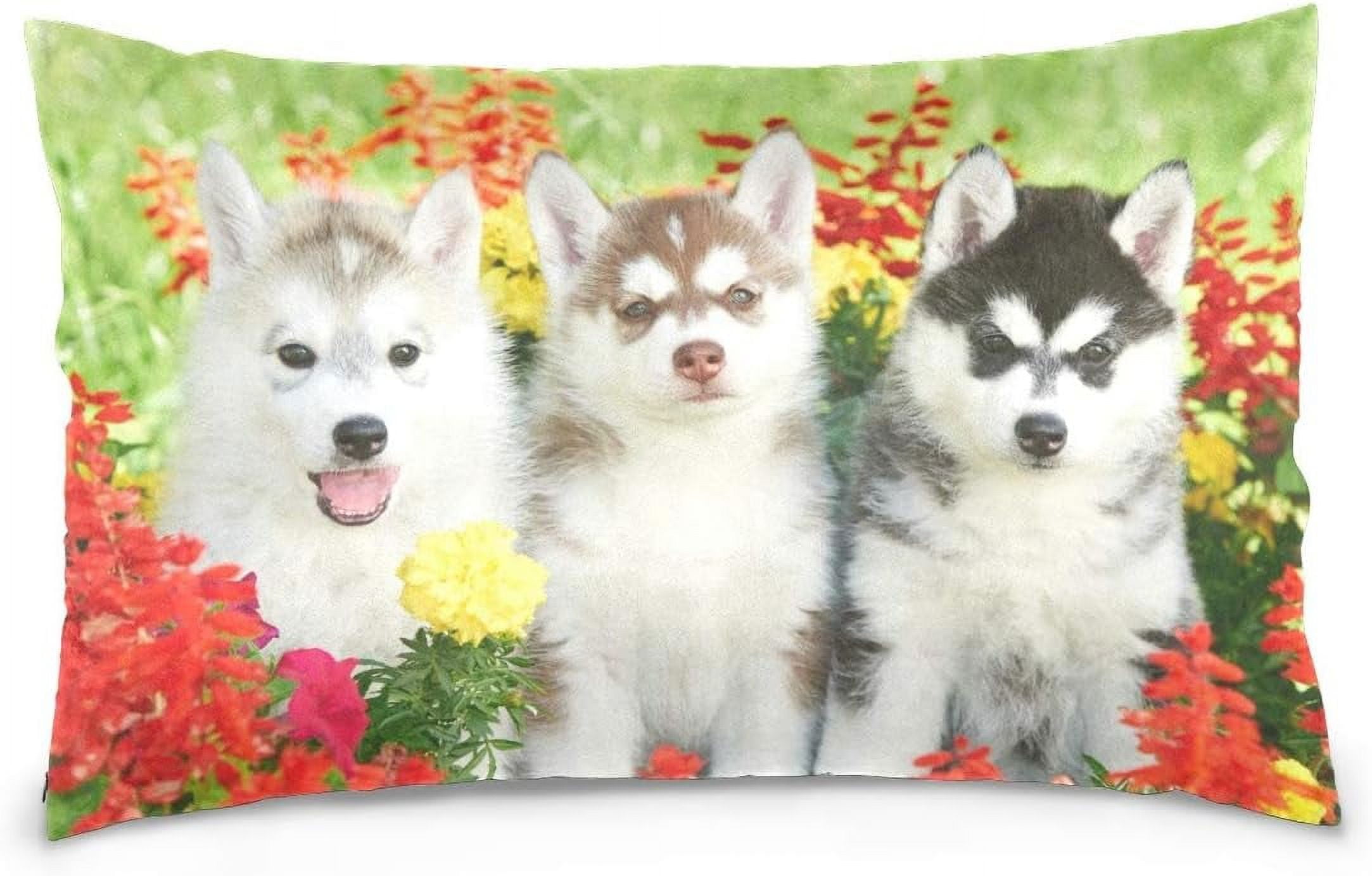 Hidove Group of Siberian Husky Puppy Dogs Velvet Oblong Lumbar Plush ...
